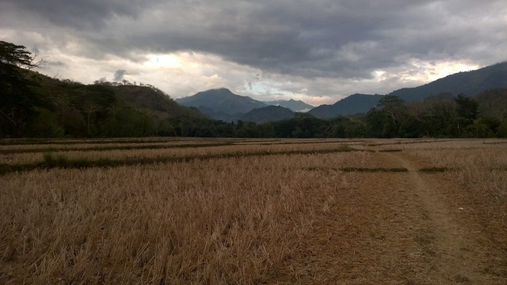 Three Day Hike Through the Mt. Iglit – Baco National Park – Wild Bird ...