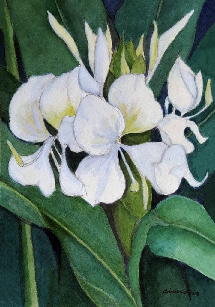 2-170427-Flower-Camia – Wild Bird Club of the Philippines