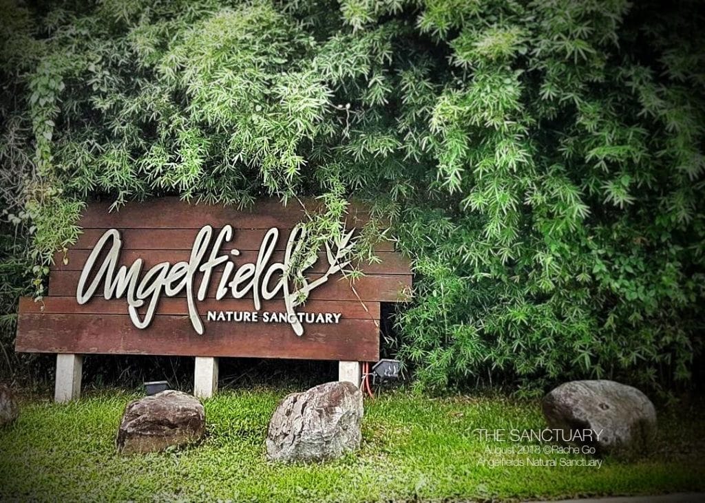Ocular Trip to Angelfields Nature Sanctuary – Wild Bird Club of the ...