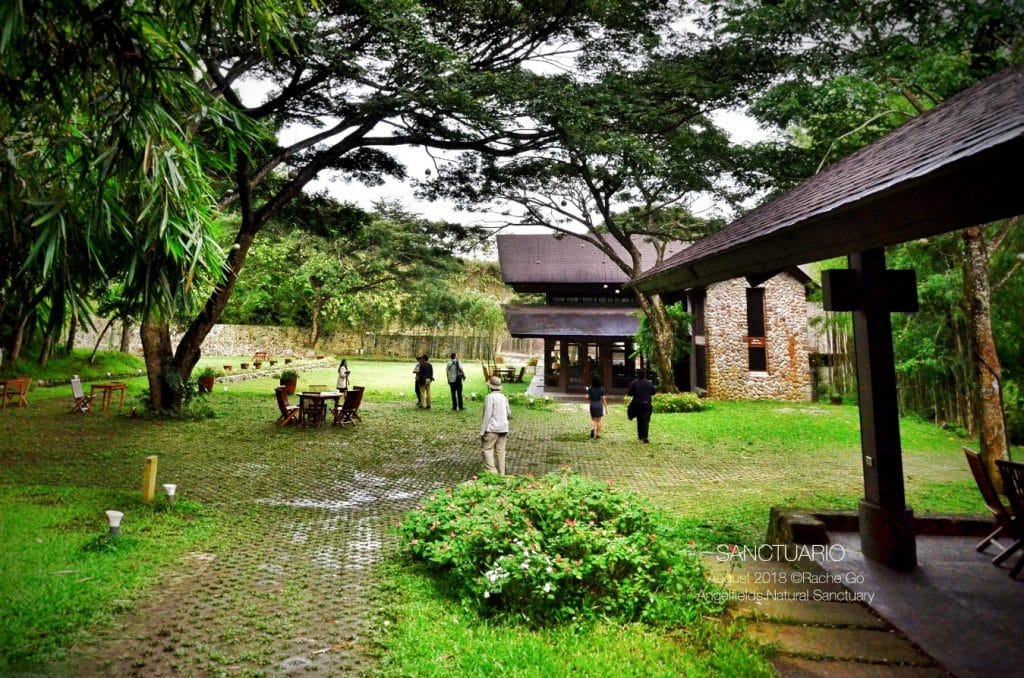 Ocular Trip to Angelfields Nature Sanctuary – Wild Bird Club of the ...