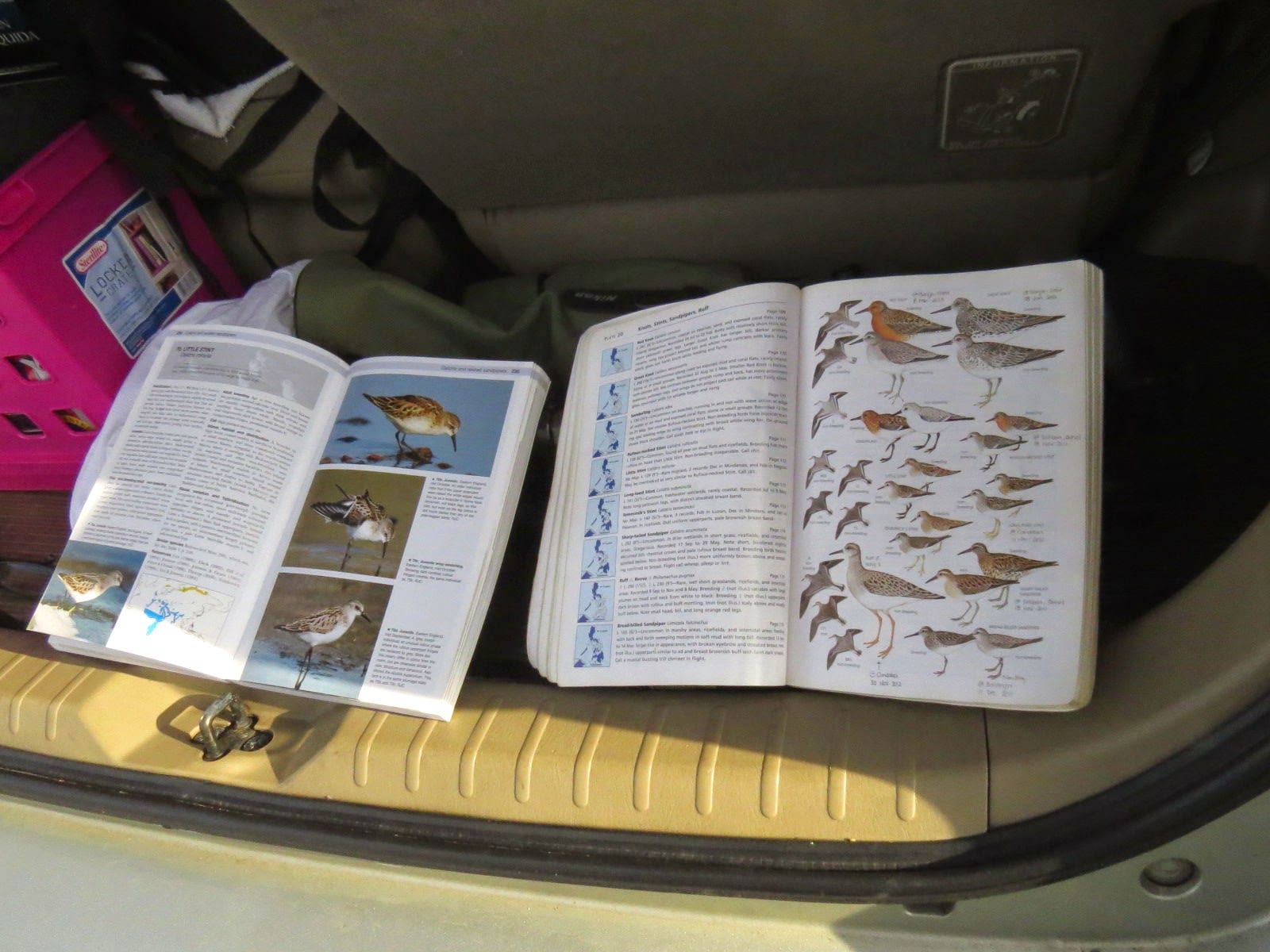 Birdwatching 101: Field Guides – Wild Bird Club of the Philippines