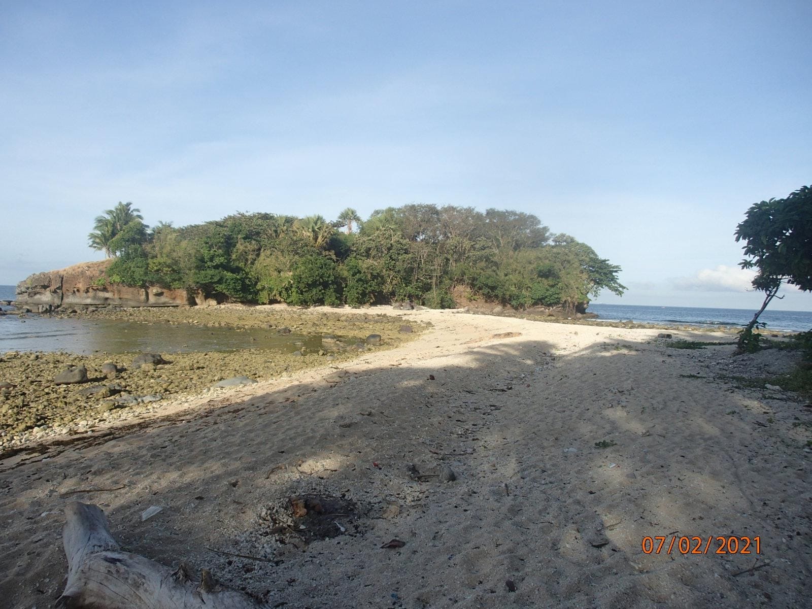 Botanical Survey of Lorelei Island – Wild Bird Club of the Philippines