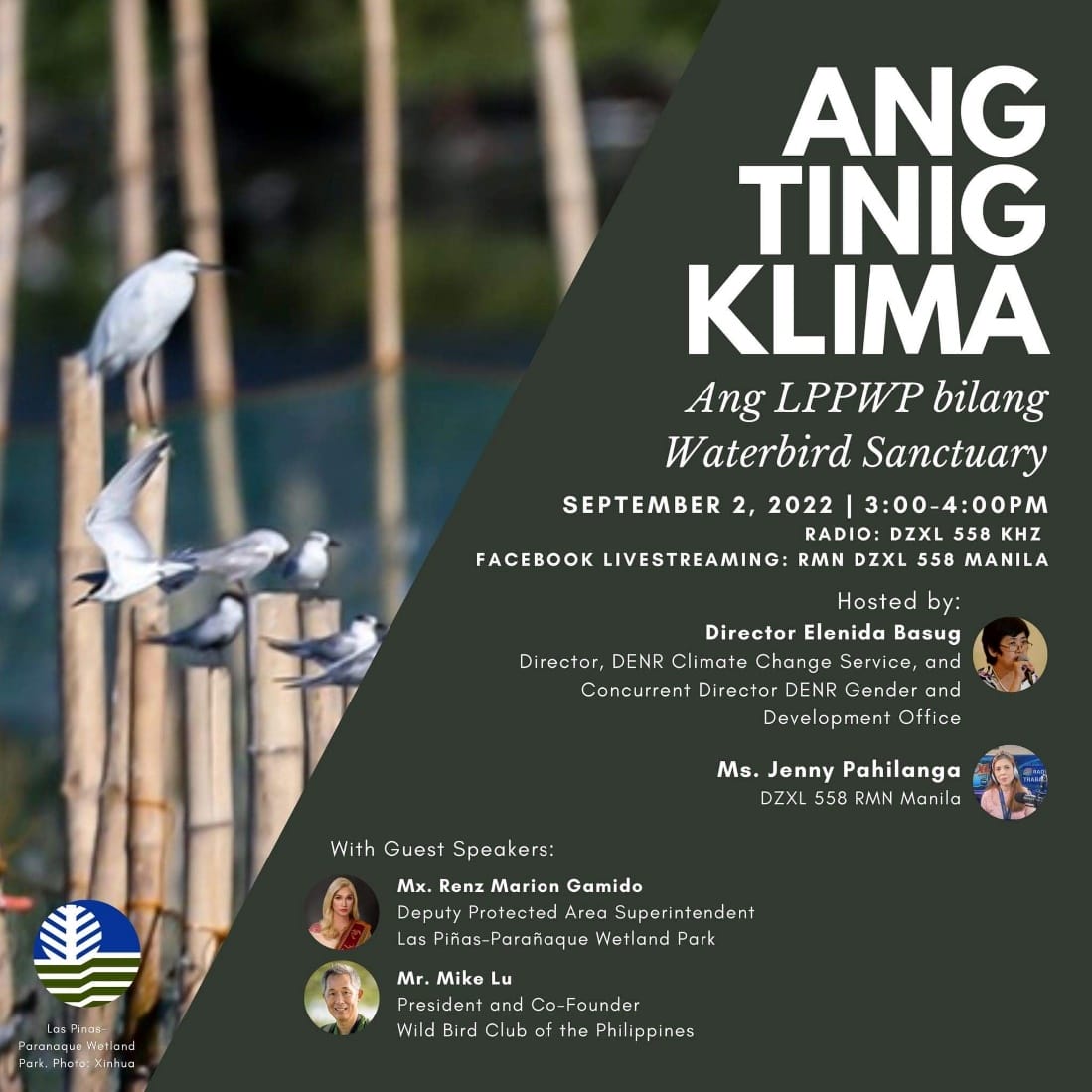 WBCP Roundup of Club Activities: July-September 2022 – Wild Bird Club ...