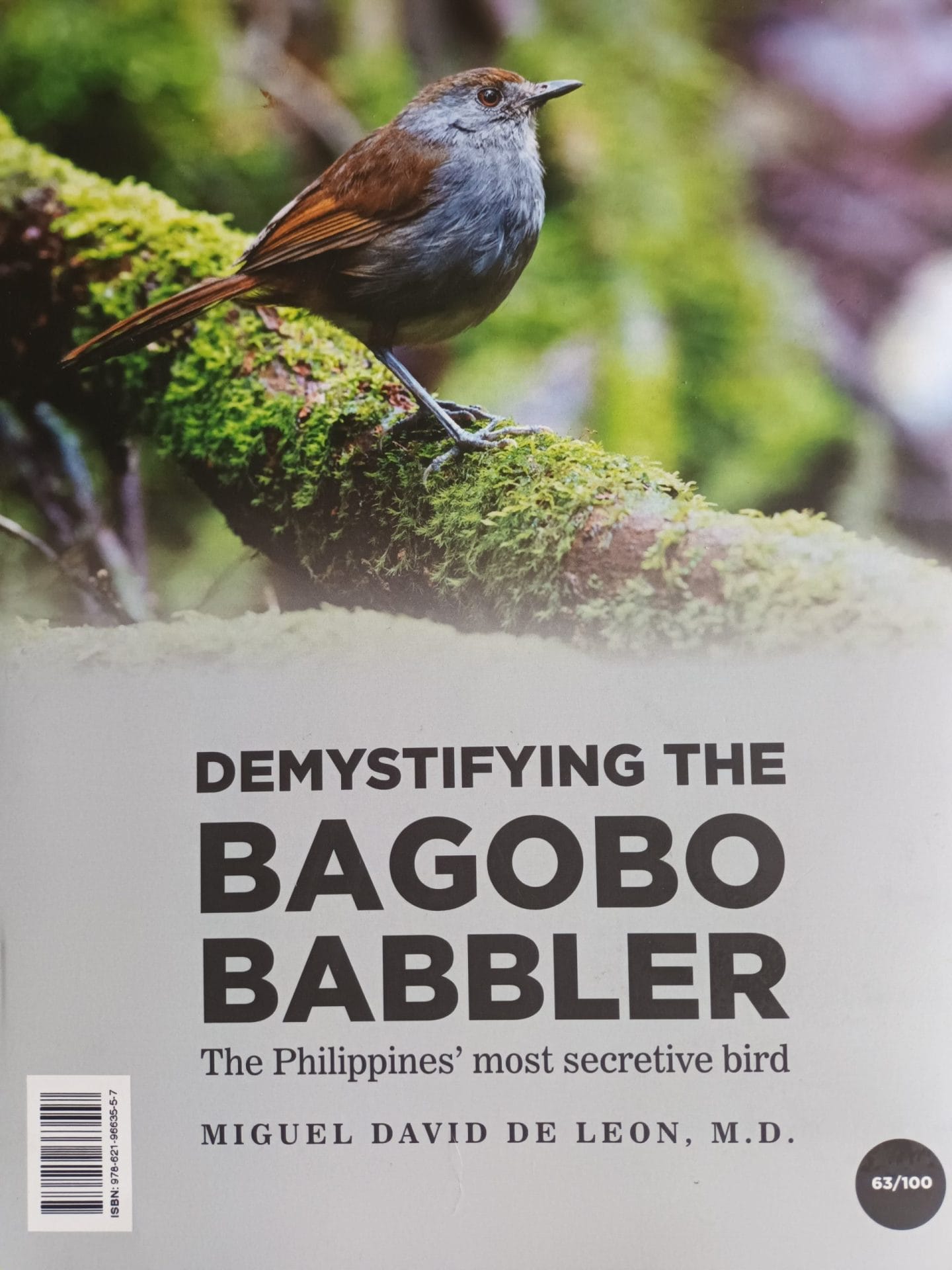 Birder’s Bookshelf: Demystifying the Bagobo Babbler – The Philippines ...