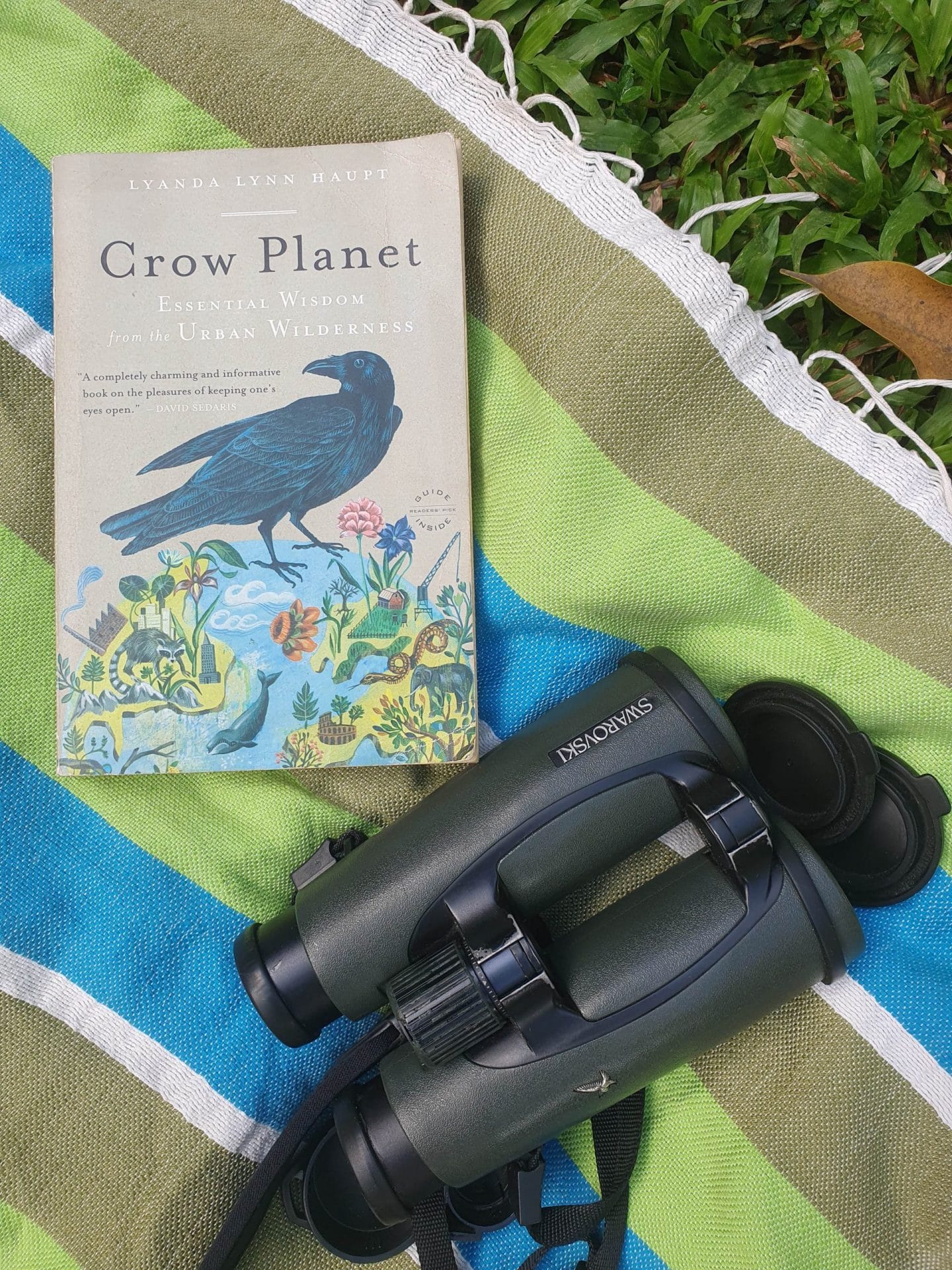 Birder’s Bookshelf – Crow Planet: Essential Wisdom from the Urban ...